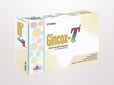 Gincox T Tablets - medimart.pk